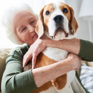 Welcome to Grouper - Grouper